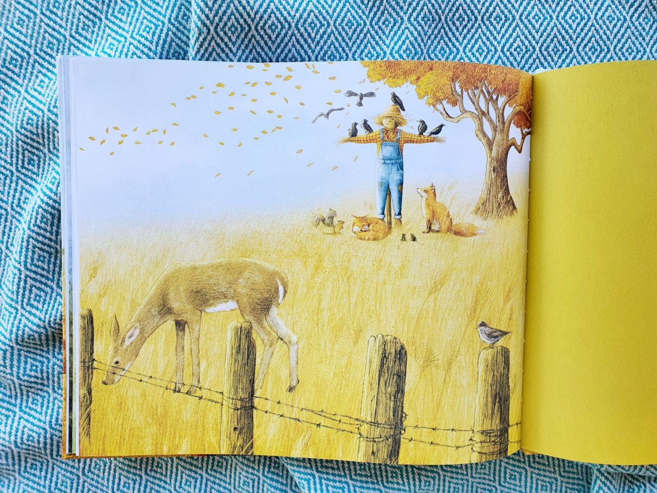 Το Σκιάχτρο: Βιβλίο-πρόταση - My Little World